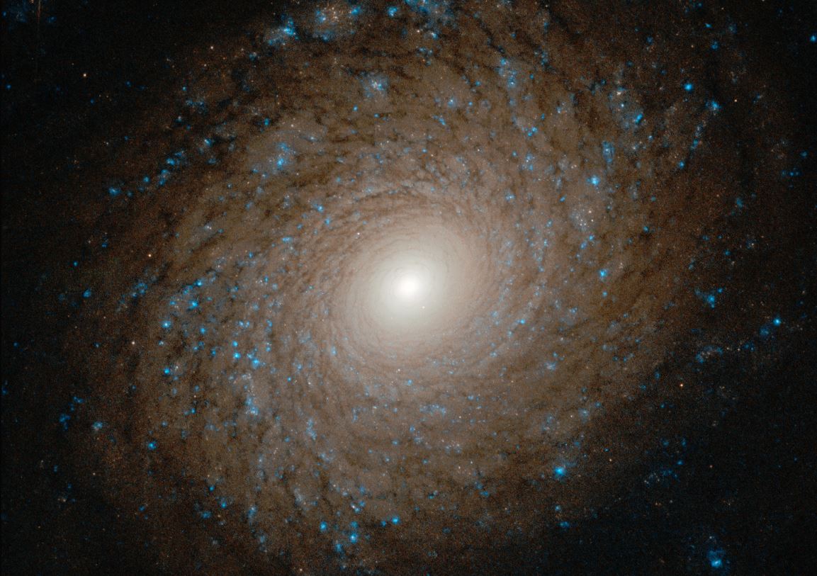 Hubble captured gorgeous snapshot of a massive distant galaxy – BGR Hubble captured gorgeous snapshot of a massive distant galaxy – BGR